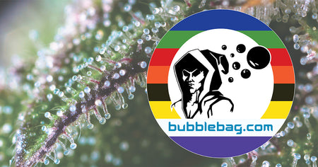 Bubblebag.com